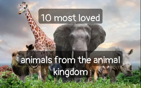 Top 10 beloved wild animals!