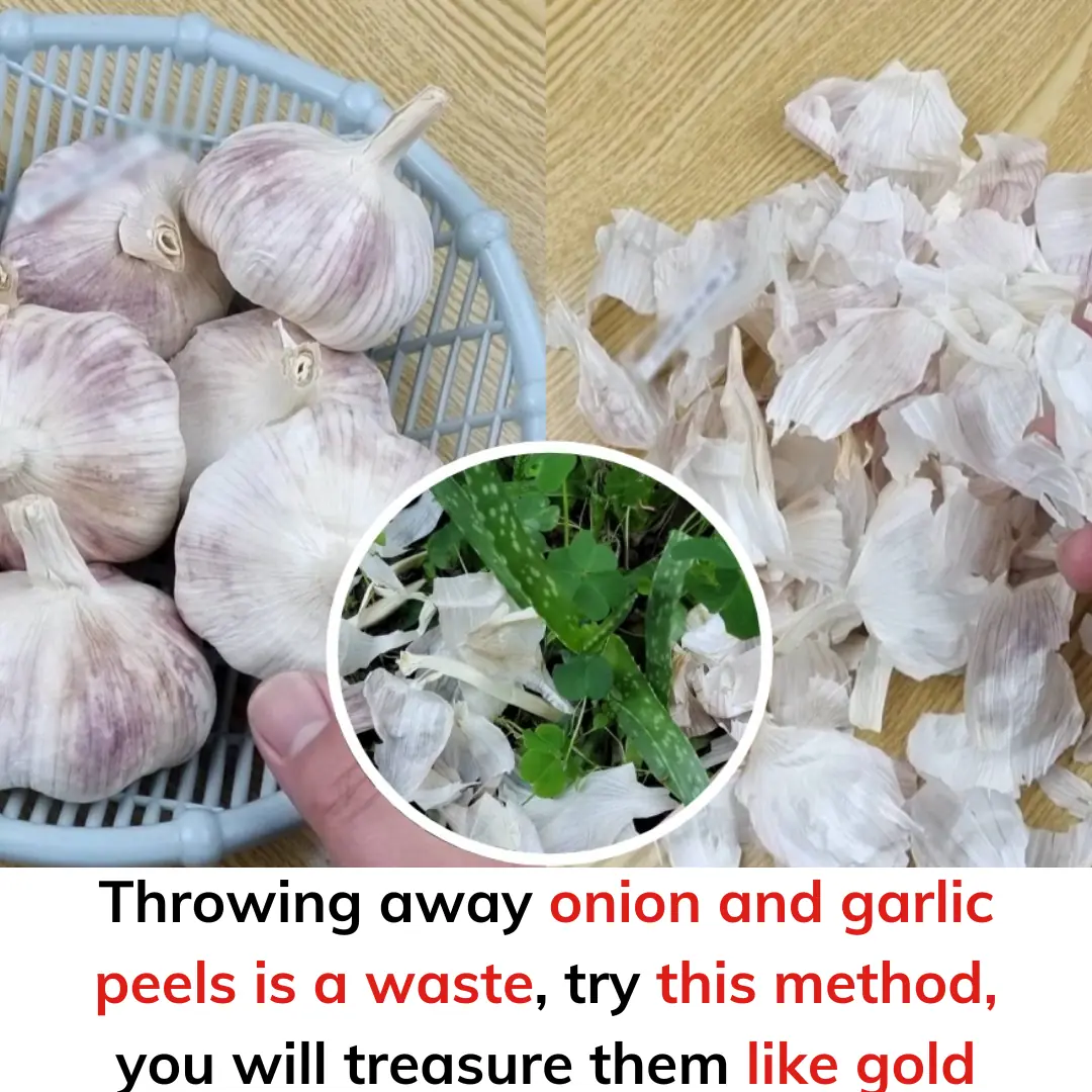 Throwing away onion and garlic peels is a waste