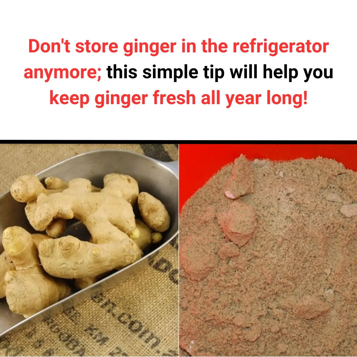 Don't Store Ginger in the Refrigerator Anymore