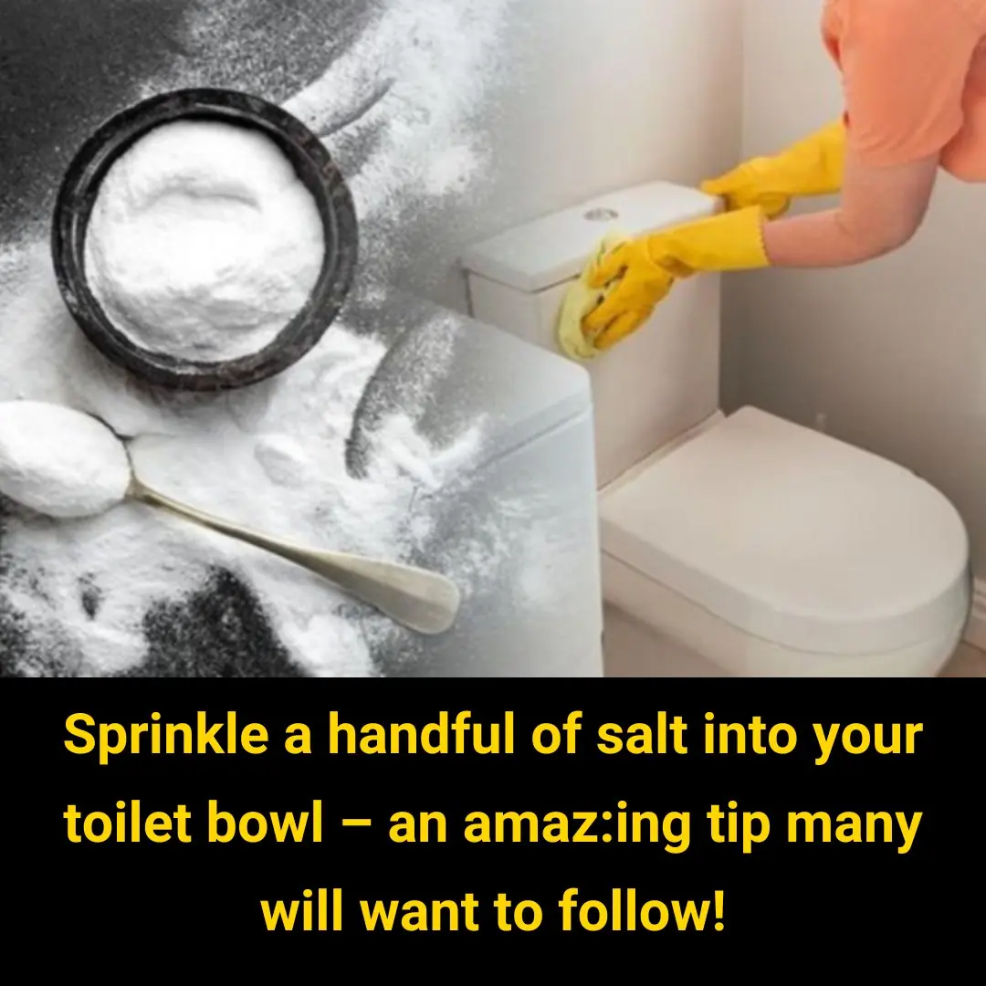 3 major benefits of sprinkling salt into the toilet