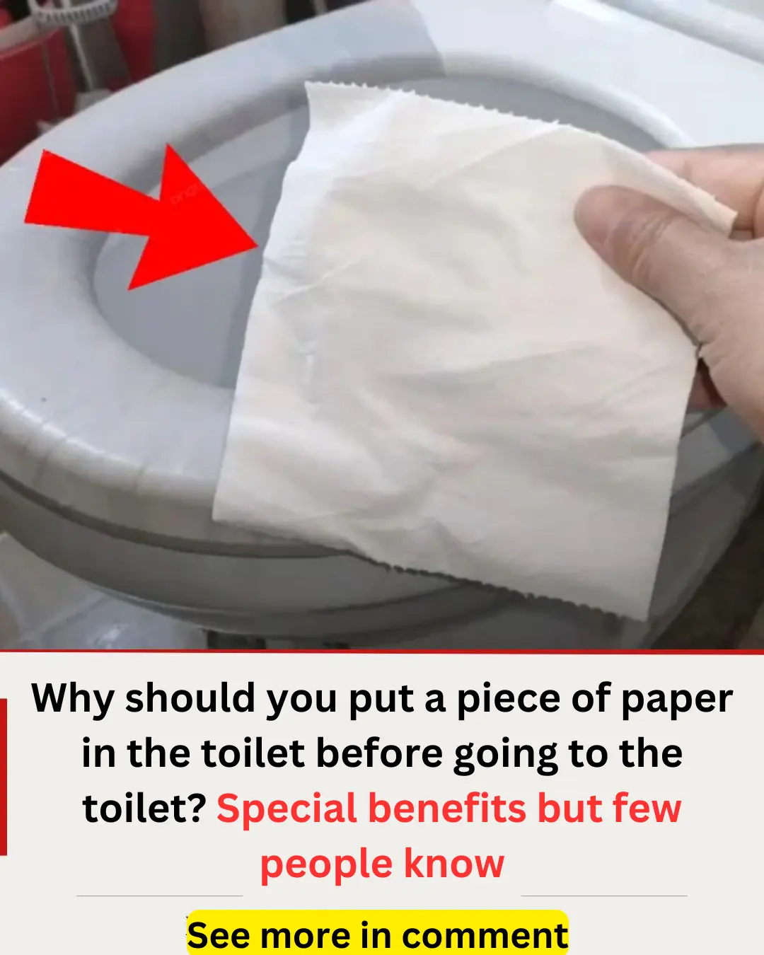 Why should you put a piece of paper in the toilet before going to the ...