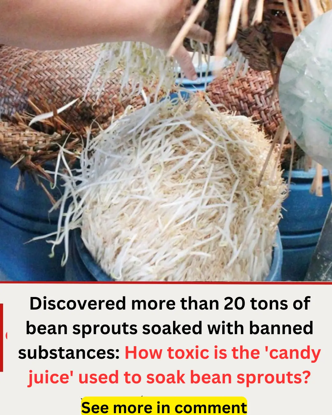 Discovered more than 20 tons of bean sprouts soaked with banned ...