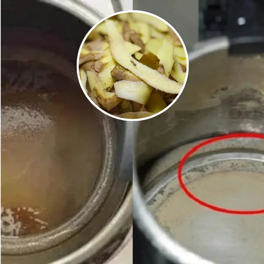 6 ways to clean limescale in electric kettle without scrubbing