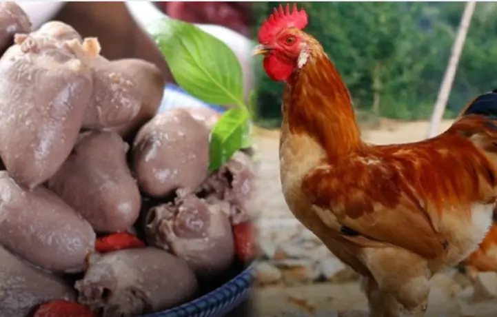 3 Toxic Parts of Chicken You Should NEVER Eat