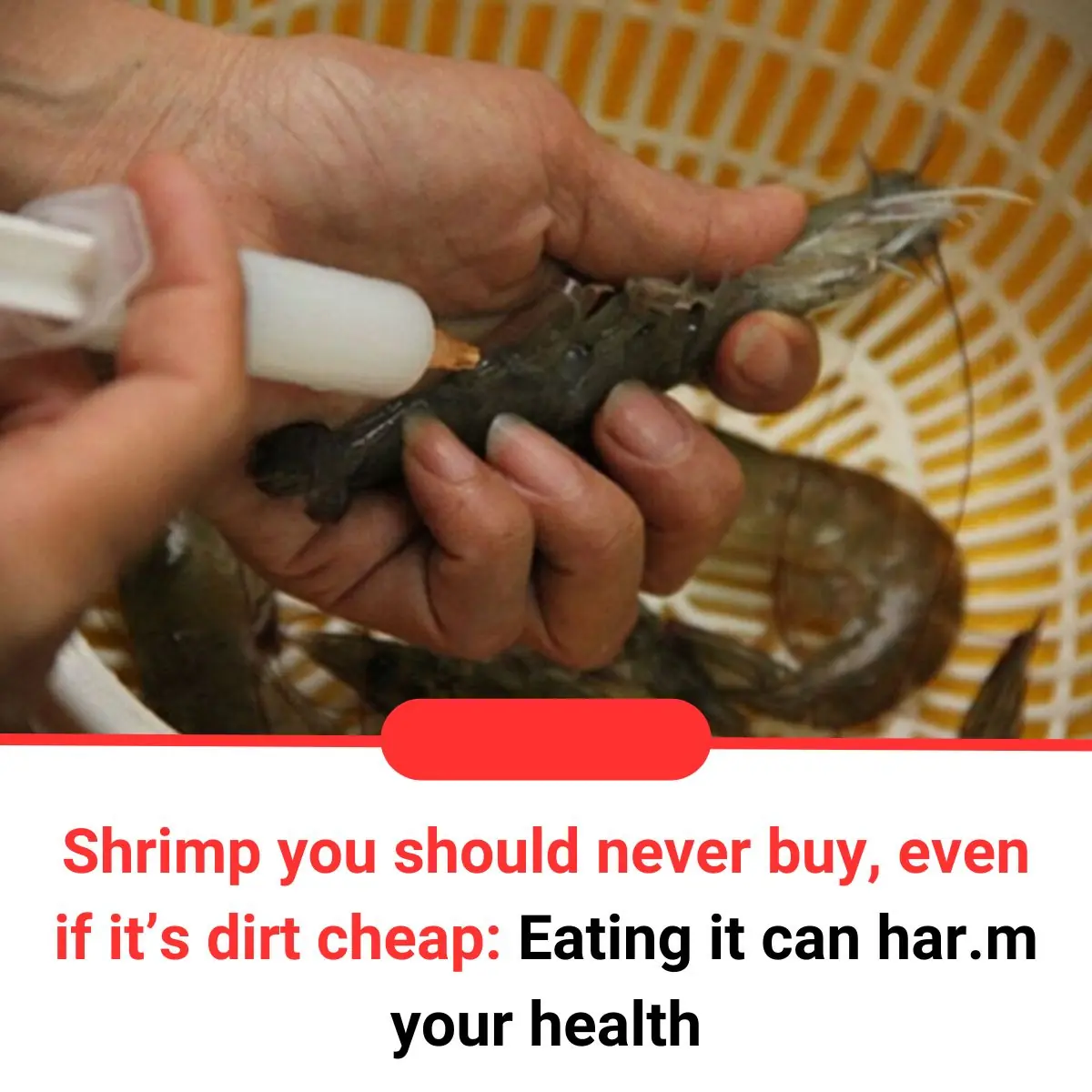 Shrimp You Should Never Buy, Even If It’s Dirt Cheap