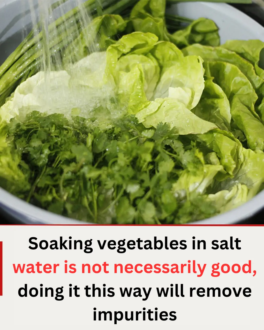 Soaking vegetables in salt water is not necessarily good, doing it this ...