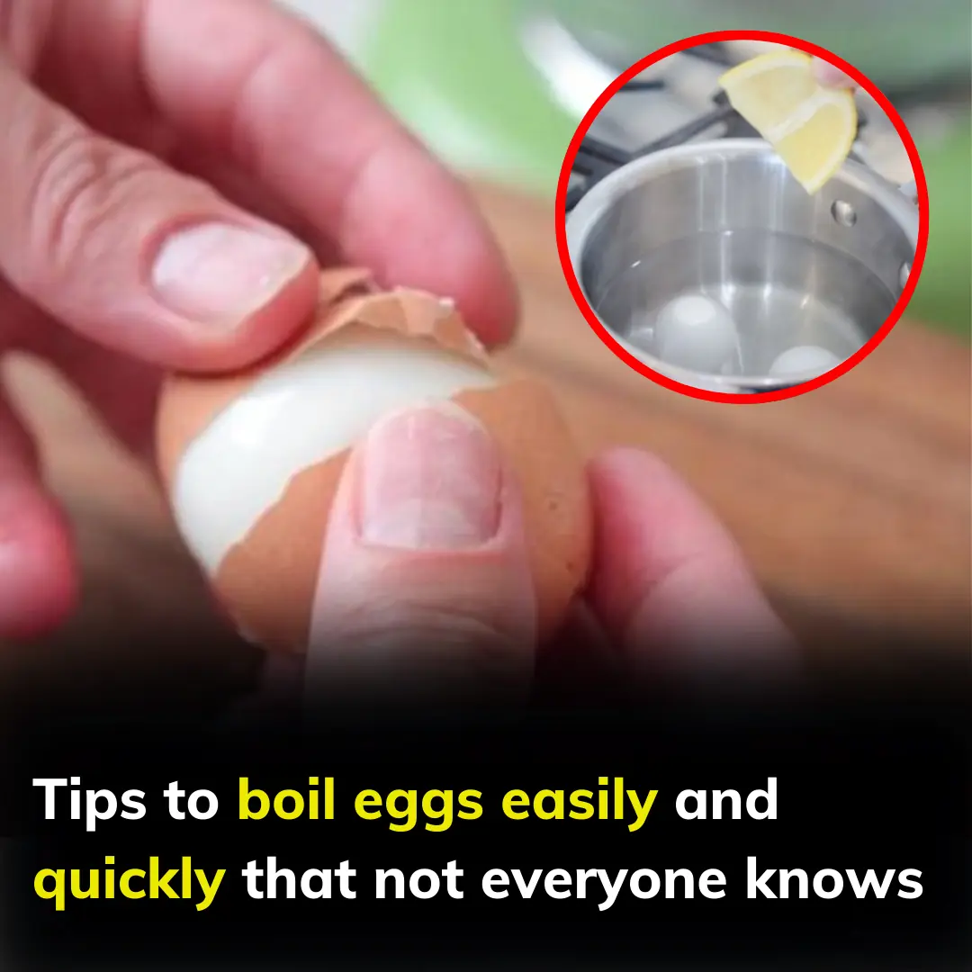 Tips to boil eggs easily and quickly that not everyone knows