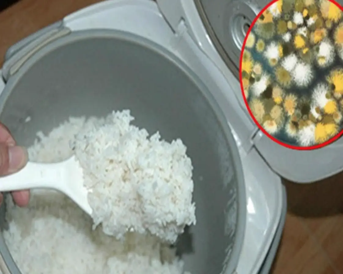 Everyone needs to pay attention when reheating cold rice