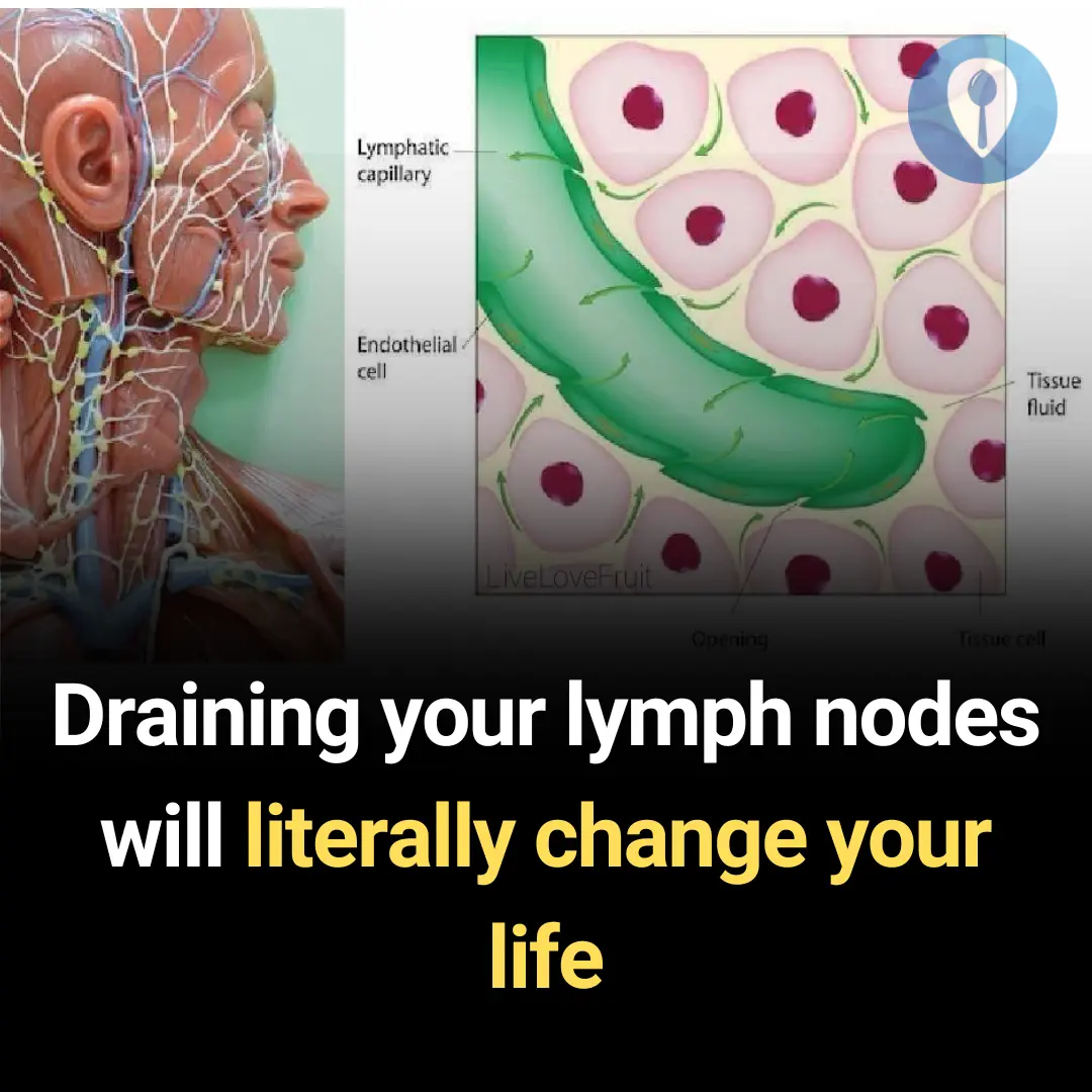 10 Ways To Support Your Lymphatic System