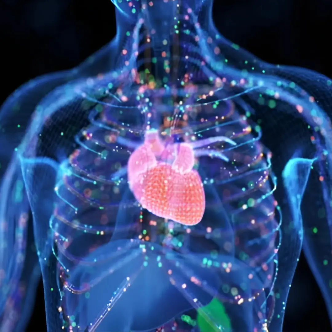 3 times to drink water to help prevent cardi.ovascular di.sease