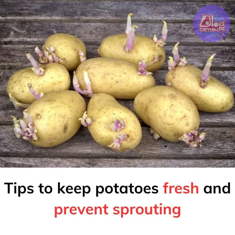 Tips to keep your potatoes fresh and sprout-free