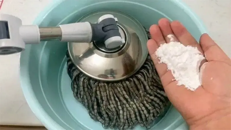 The house will be spotless and dust-free all week long